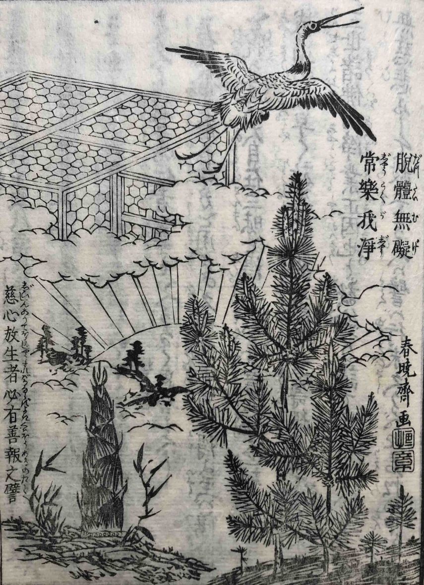 Gratitude and Treasuring Lives: Eating Animals in Contemporary Japan ...