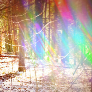 The Lord’s Corner | South Writ Large